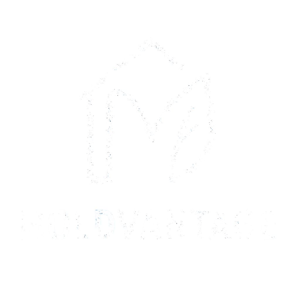 Mold Vantage